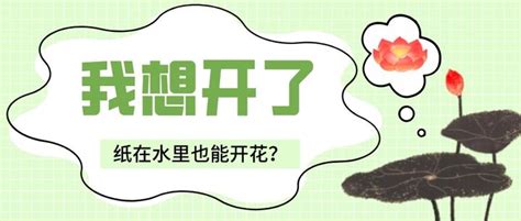 纸怎么那么全能？还能在水里开花？ 知乎