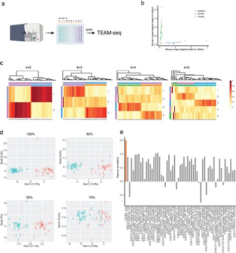 Fig4 The Processes And Clustering Results Of The Team Seq On Indexed