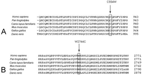 The Sequence Alignment Portion Of A Laminin Epidermal Growth Factor