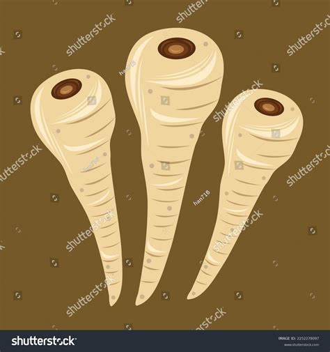 Vegetable Parsnip Flat Vector Illustration Cute Stock Vector Royalty Free 2252278097