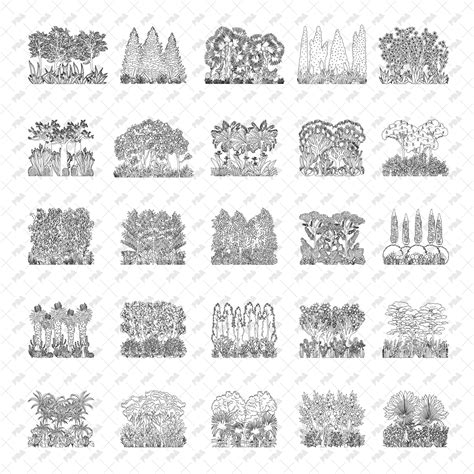 Shop Vector Trees And Plants At Post Digital Architecture Shop Vector Trees And Plants At Post Digital Architecture