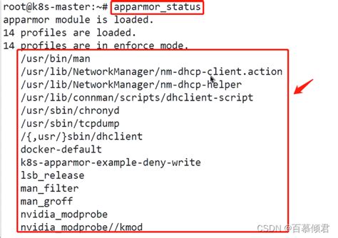 k8s进阶5——apparmor、seccomp、imagepolicywebhook csdn博客