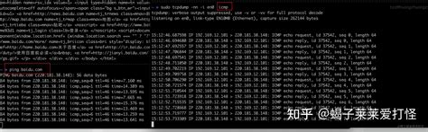 tcpdump详解 实战 知乎