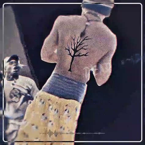 R I P Xxxtentacion Sex Drugs Ect [edit] Editing Edit