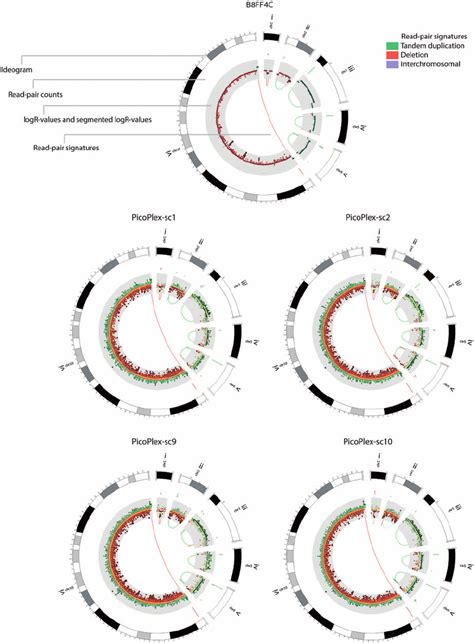 Detection Of Imbalanced Structural Variants By Paired End Mapping Of