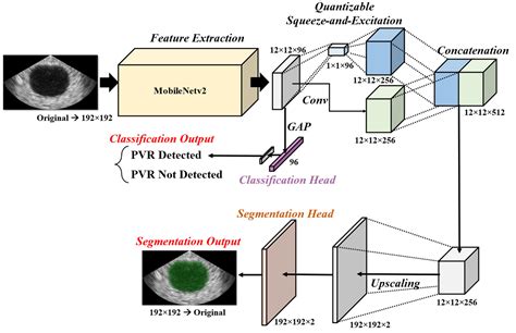 Bioengineering Free Full Text A Lightweight Deep Learning Network