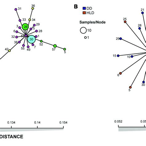 Minimum Spanning Networks Msns Of Unique Multilocus Genotypes Download Scientific Diagram