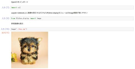 Python OpenCVを使った画像のリサイズや回転の方法 サンプルコード付 みやしんのプログラミングスキル通信