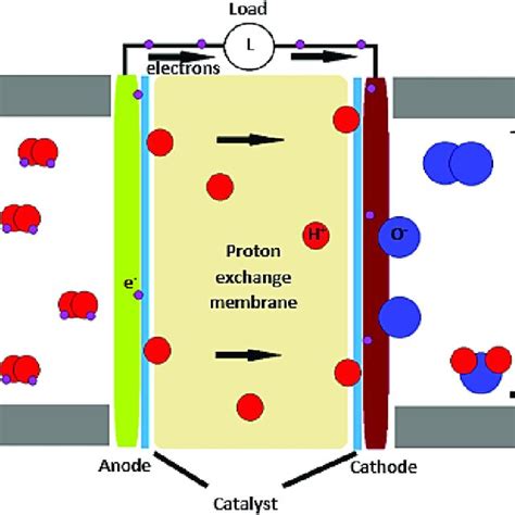Principle Of Operation Of A Pemfc Type Of Fuel Cell Download