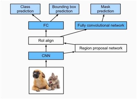 architecture of mask r cnn download scientific diagram