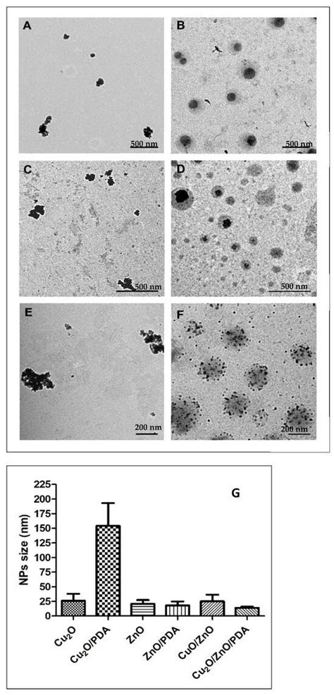Cu Zno Embedded In A Polydopamine Shell For The Generation Of