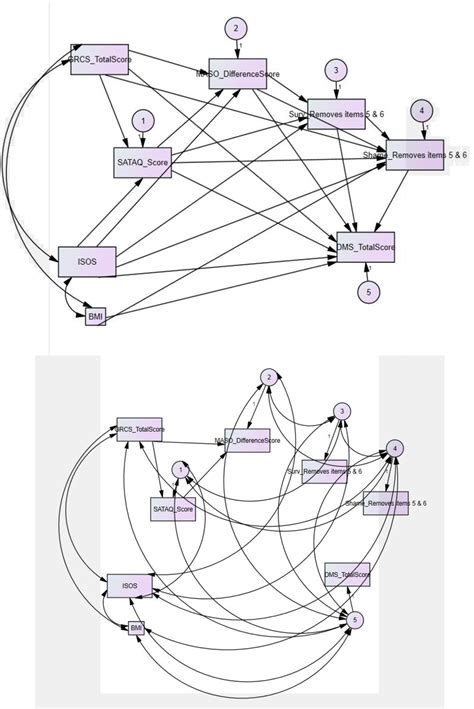 Figure 3 From Sexual Objectification And Gender Role Conflict As Predictors Of Drive For