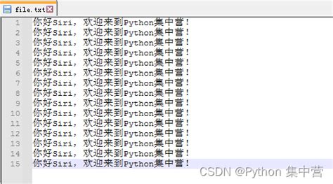Python中英文文本美化器，安排python 将中英文之间插入空格 Csdn博客