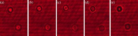 Color Online Diffraction Pattern With Reference Beam Obstructed In Download Scientific