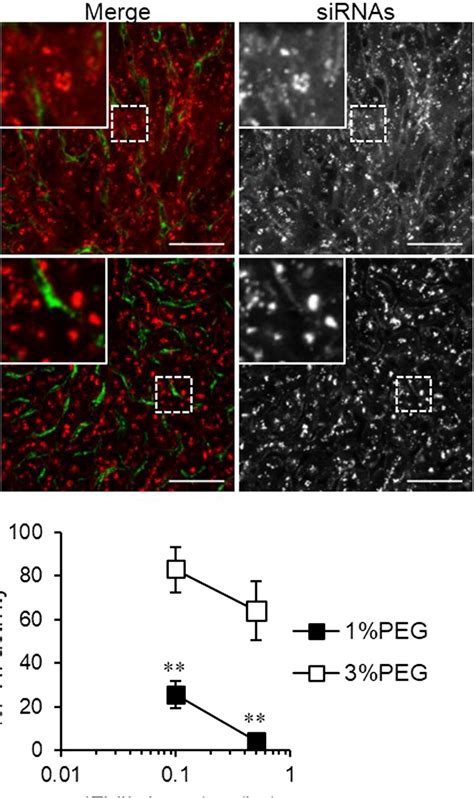 Figure 6 From Microfluidic Technologies And Devices For Lipid Nanoparticle Based Rna Delivery