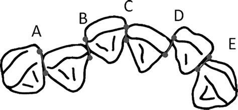 Littles Irregularity Index Littles Irregularity Index Lii Was Download Scientific Diagram