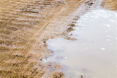 Deep Puddles In The Forest After Heavy Rain Stock Image Image Of