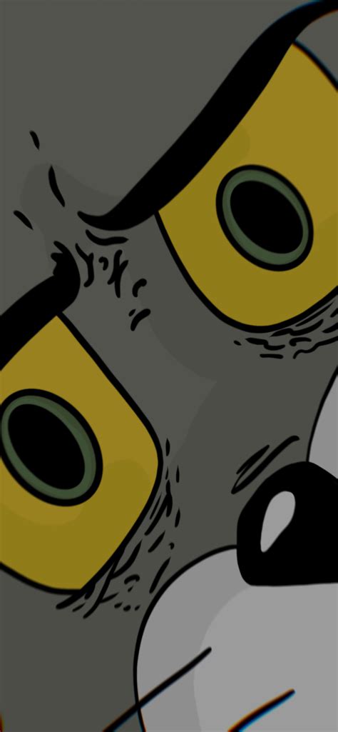 Unsettled Tom Meme Wallpapers Meme Wallpaper Hd Wallpapers Clan