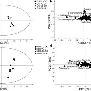 PCA Of Metabolic Profiles And Loading Plots Of Metabolites In Wild And Download Scientific