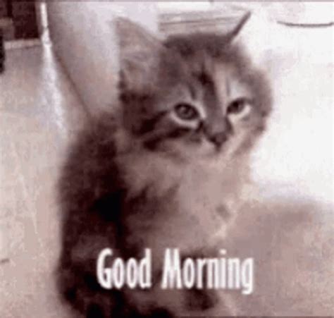 Sleepy Good Morning So Tired 