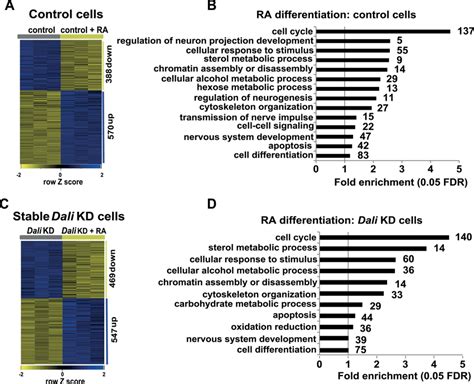 Figure Supplement 1 Transcriptomics A And C Heatmap Displaying