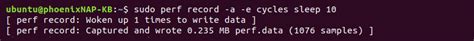 Linux Perf How To Use The Command And Profiler PhoenixNAP KB