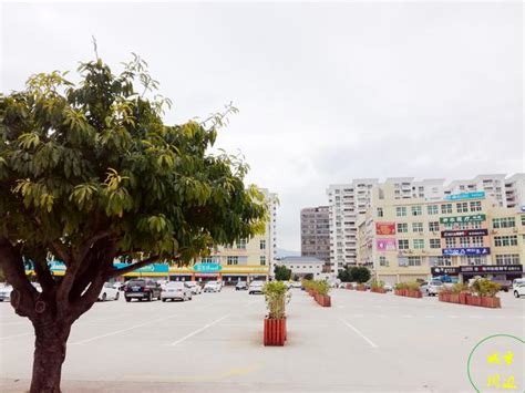 广东有个梅州，梅州有个陶然居，陶然居的套房为什么被很多人讲？ 每日头条