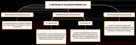 The Sodium Hydroxide Test A Qualitative Analysis Procedure In Chemistry Algor Cards