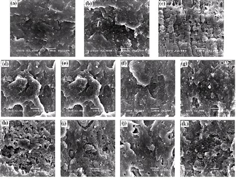 Sem Micrographs Of The Fractured Surfaces Of A Neat Pp B And C