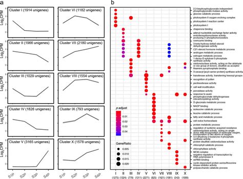 Transcript Abundance Of Differentially Expressed Genes Degs During Download Scientific