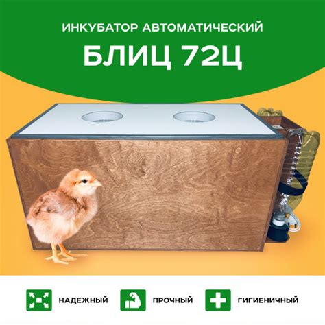 Инкубатор автоматический БЛИЦ 72 яиц цифровой Ц10 - купить с доставкой ...