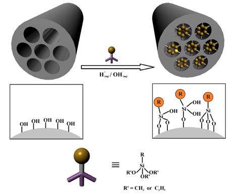 Scheme Shows Grafting As One Of The Methods For The Modification Of