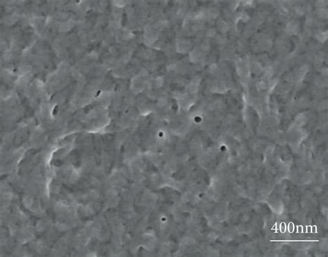 The Nanostructure Of Surface Topography Of Samples Showed In Sem