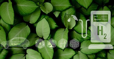 Hidrogênio Verde E As Células De Combustível Qual A Relação