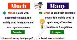MUCH Vs MANY What Are The Differences Between Them ESL Forums
