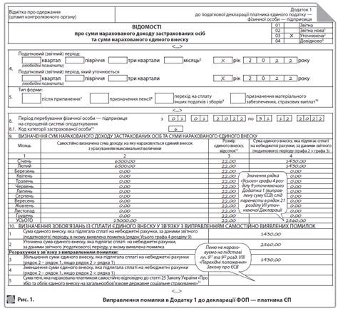 «ПРОФЕСІЙНИЙ БУХГАЛТЕР Як ФОП єдиннику виправити помилку в ЄСВ додатку до