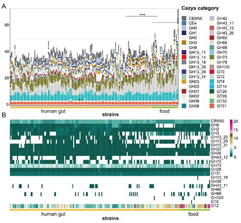 Genes Encoding Carbohydrate−active Enzymes Cazy In The Genome Of L Download Scientific