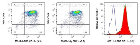 Cd11c Antibody 65511 1 Pbs Proteintech