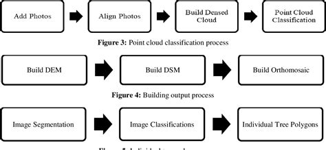 Figure 4 From Tree Height And Crown Extraction From Uav Based Multispectral Imagery Semantic