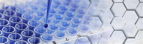 Bioanalysis Fraunhofer Isc