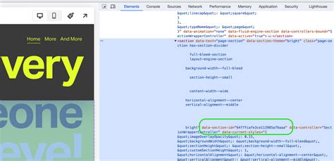 I Cannot Find The Data Section Ids Of My Website Neither Can The