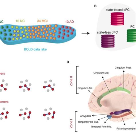 State Based Dynamic Functional Connectivity Dfc Analyses Four Dfc