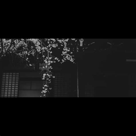 Masato T Gwave Masabo Snapper • Instagram Photos And Videos