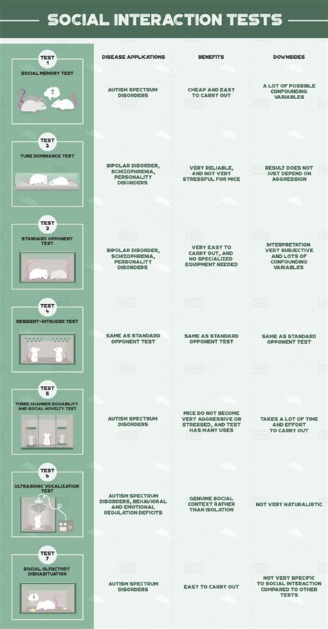 Social Interaction Tests In Mouse Models Maze Engineers