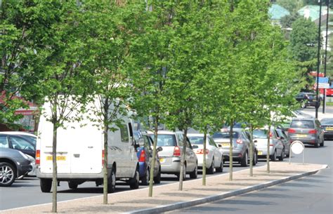 How Trees Improve Air Quality GreenBlue Urban