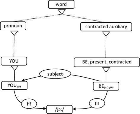 The Syntactic Constraint On English Auxiliary Contraction Journal Of