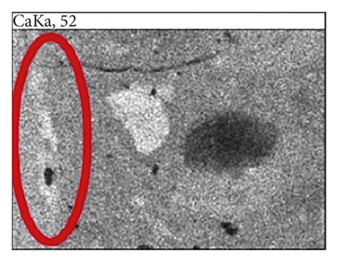 Sem Map Analysis On Distressed Samples Under Cyclic Freeze Thaw In Download Scientific Diagram