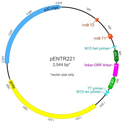 Vector Maps And Sequence Files
