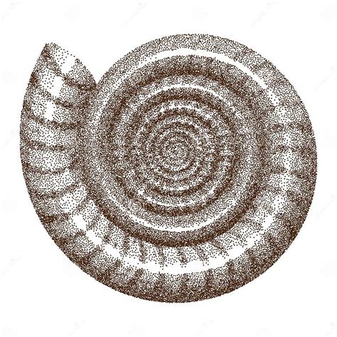Doted Ammonite Shell Stock Vector Illustration Of Ammonite 280249106