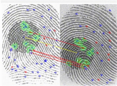 【毕业设计】深度学习指纹识别算法研究与实现 python opencv 设备指纹生成算法 csdn博客
